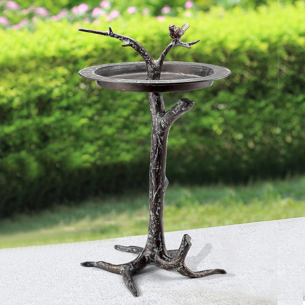 SPI Bird & Twig Sundial Birdbath Sculpture 41026 – Biggs Ltd